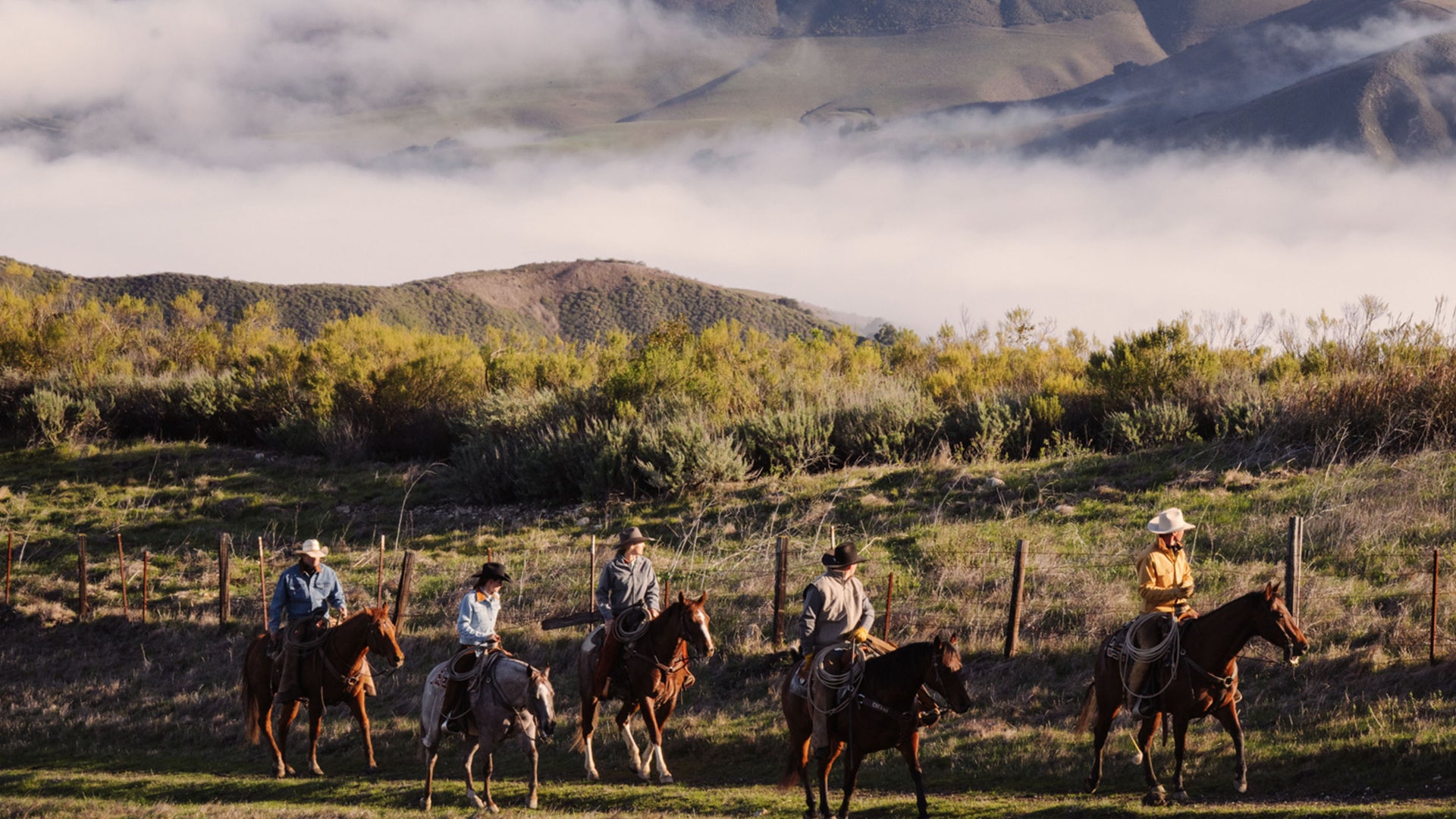 Schaefer Outfitter Western Ranch Wear